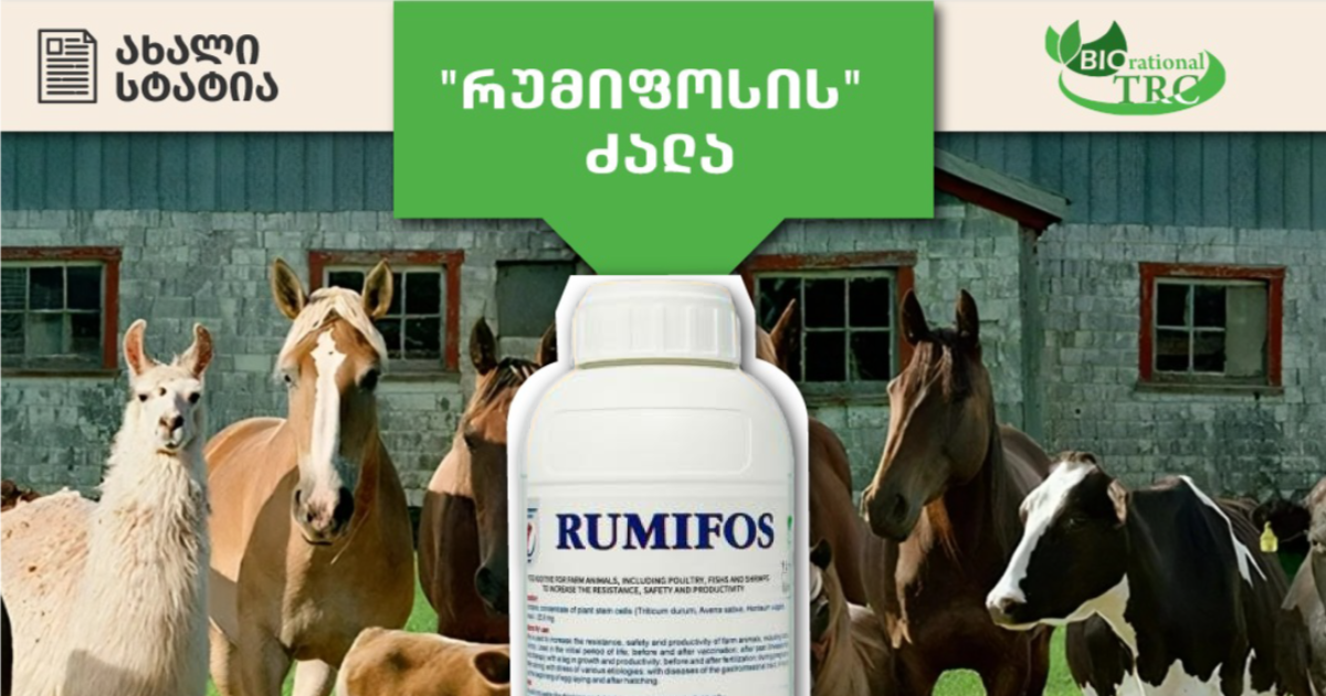 Rumifos - bioactive substance for the full development of agricultural ...